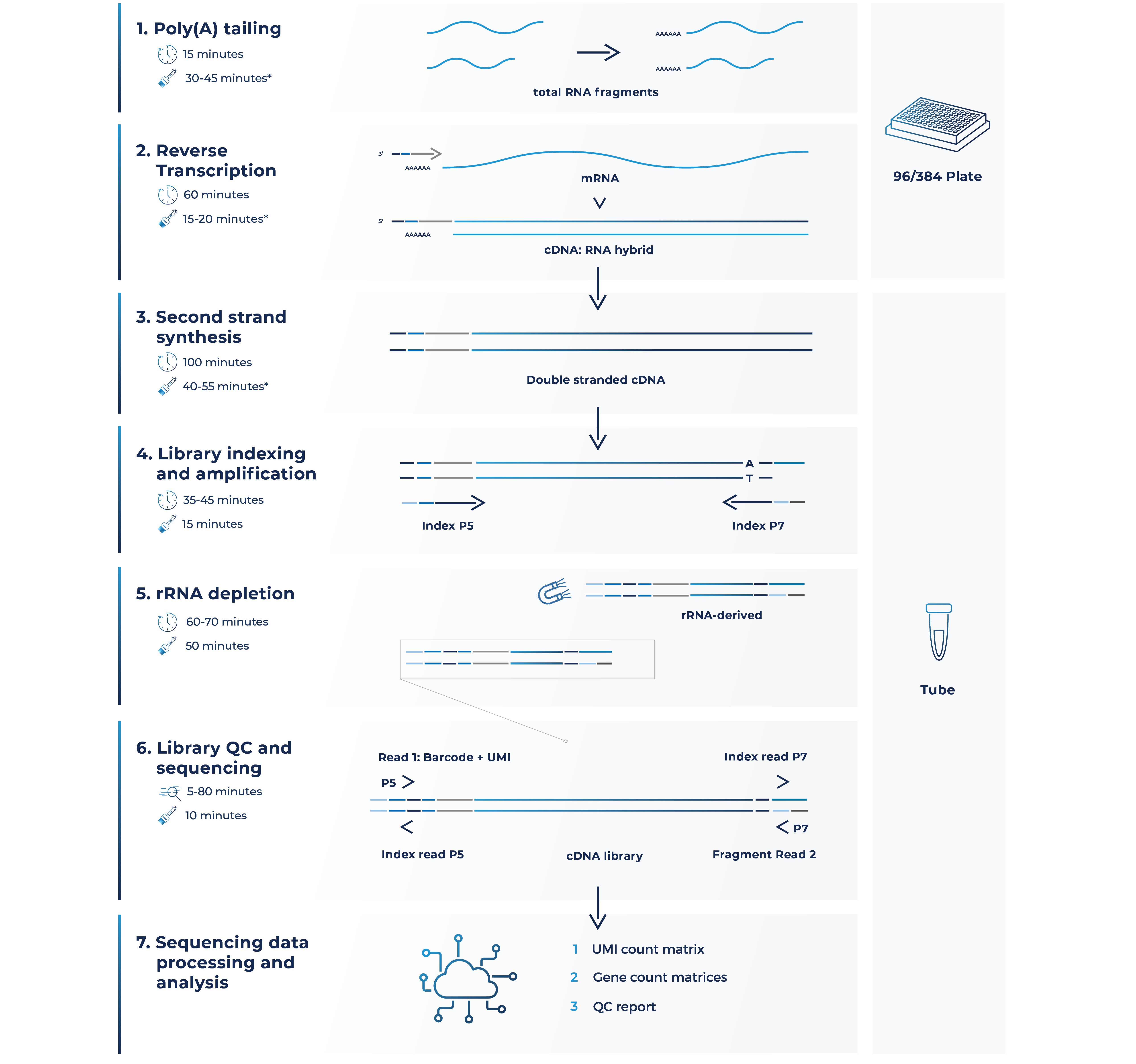 Looking for an RNA-seq method for degraded RNA? Introducing MERCURIUS™ FFPE-seq